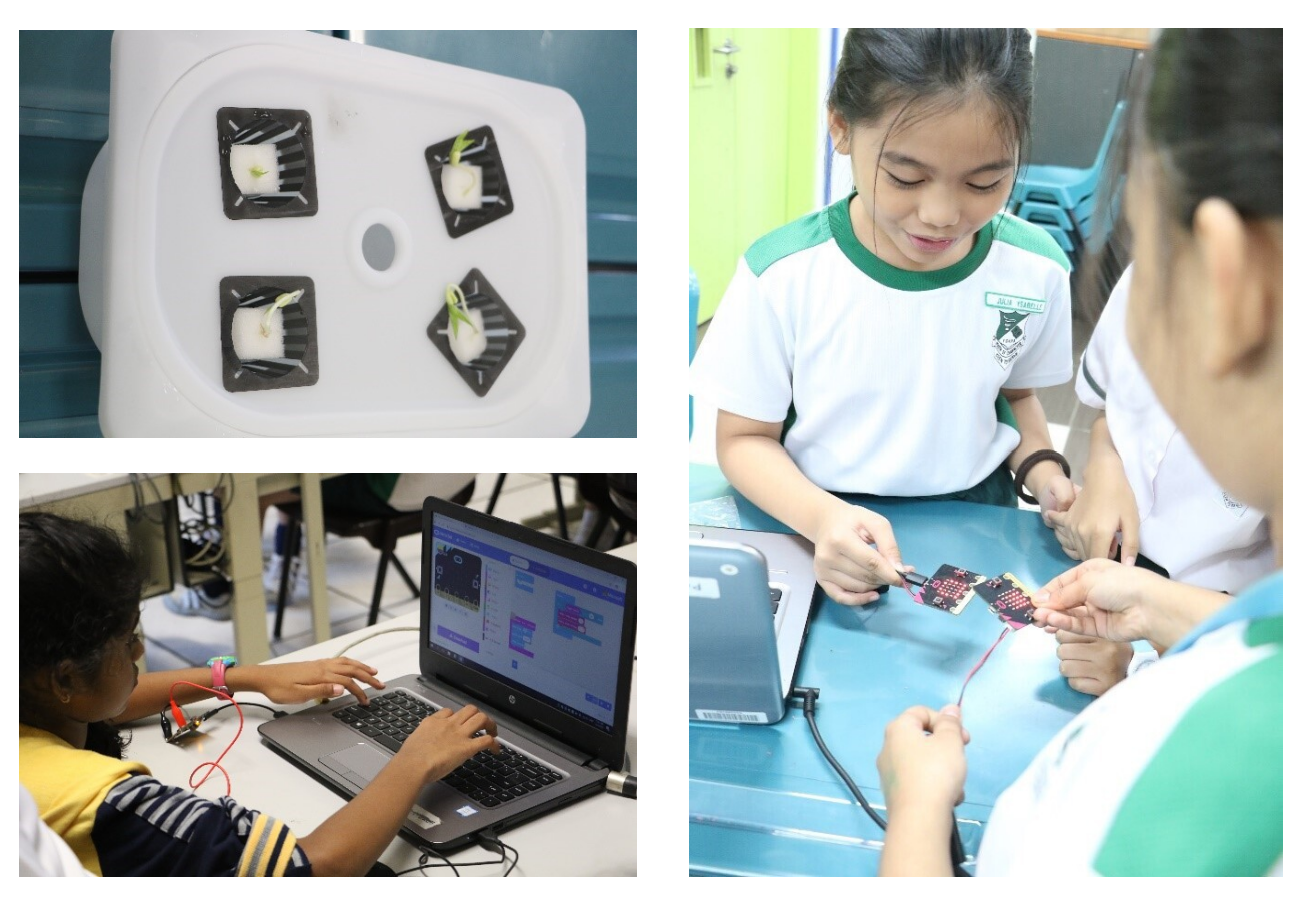 Information and Communication Technologies (ICT)